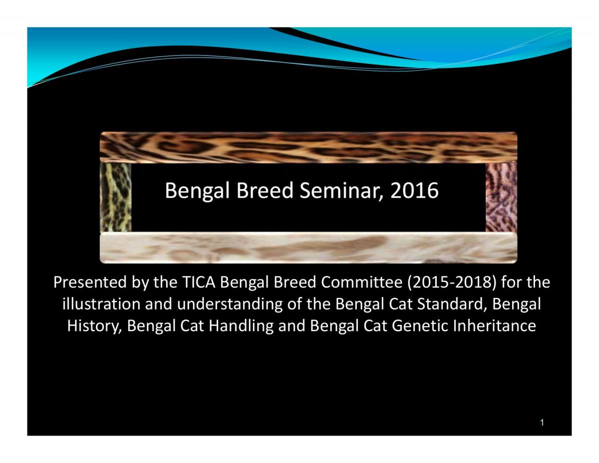 Bengal Info | Bengalheritage Cats | Bengal Cats