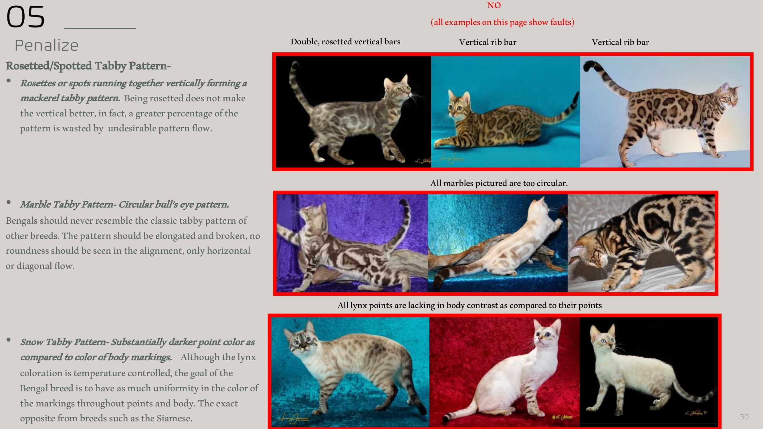 Bengal Kittens and Cats for Sale | Bengalheritage Cats Ltd.